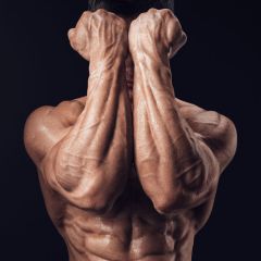 Vježbanje podlaktica i najčešći problemi - Body.ba